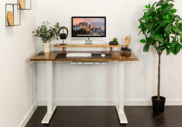 Best Ergonomic Accessories for Your Height Adjustable Desk – VENACE